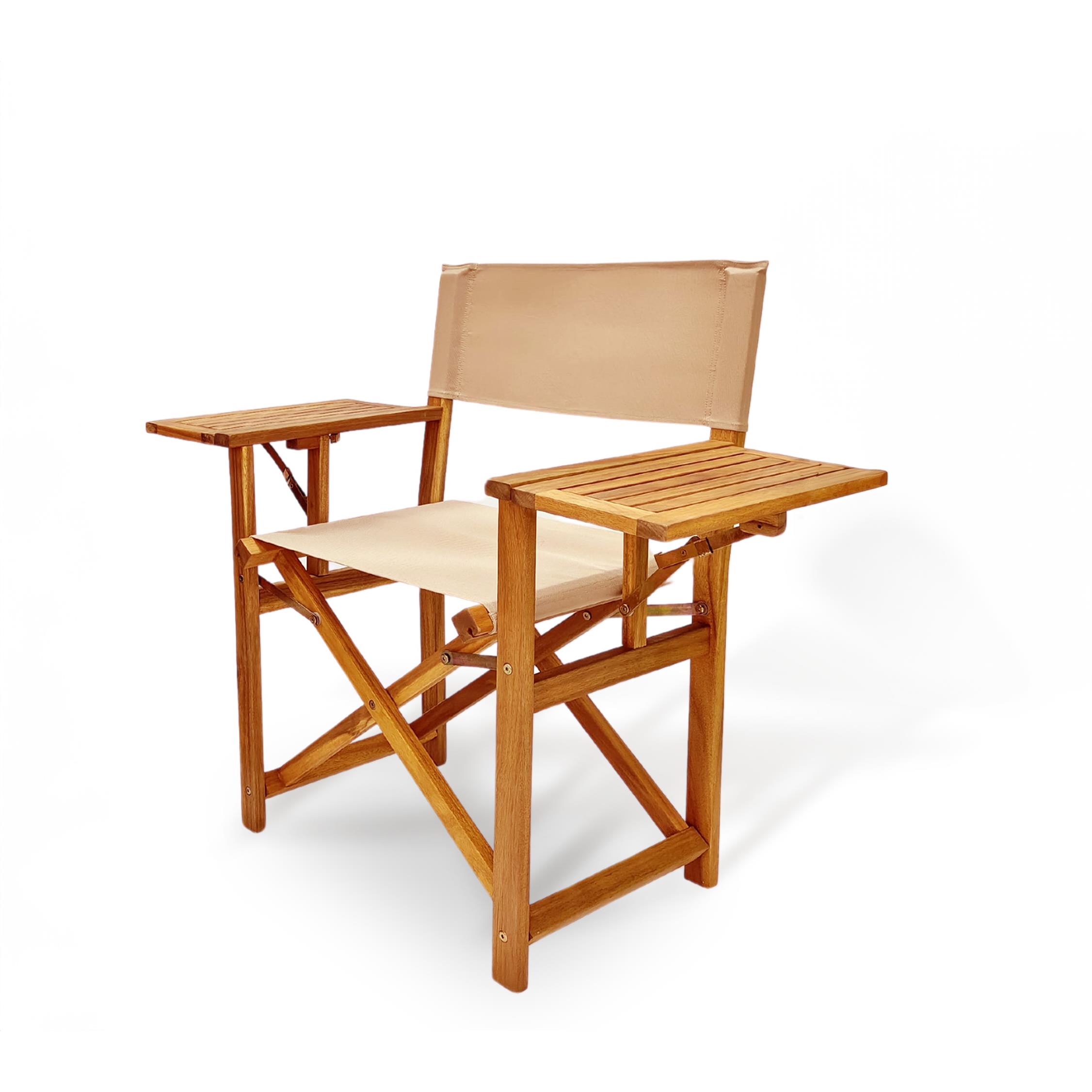 Walker Outdoor Folding Directors Chair | HSN