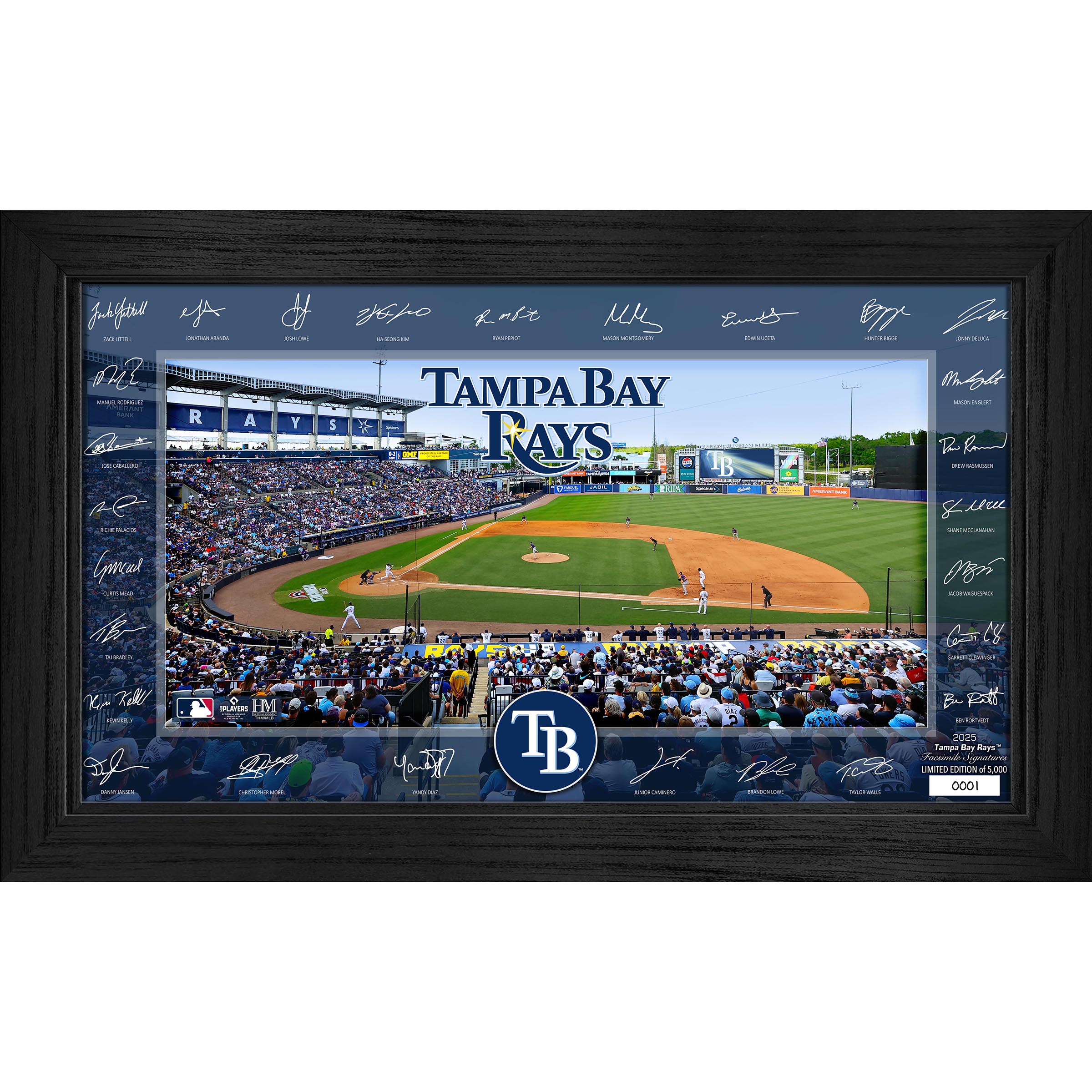 Tampa Bay Rays Framed 2025 Signature Field Team Roster | HSN