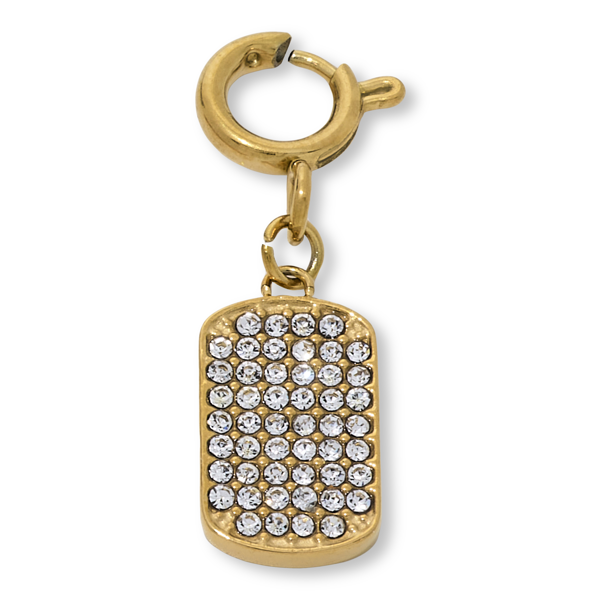 Stately Steel Goldtone Pavé Crystal Dog Tag Charm | HSN