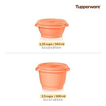 Tupperware Food Storage Containers | HSN