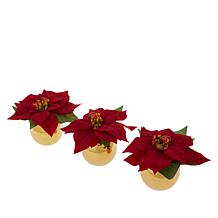 Winter Lane | Christmas Trees, Artificial Topiary & Holiday Décor | HSN