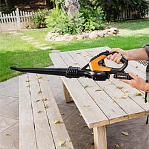 Leaf Blowers | HSN