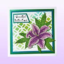 Embellishment Kits | HSN