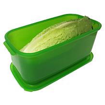 Debbie Meyer Green Boxes | HSN