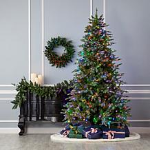 Christmas & Holiday Decorations | HSN