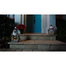 Winter Lane | Christmas Trees, Artificial Topiary & Holiday Décor | HSN