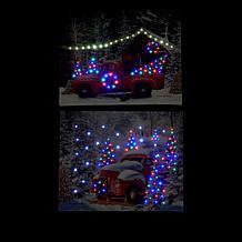 Winter Lane | Christmas Trees, Artificial Topiary & Holiday Décor | HSN