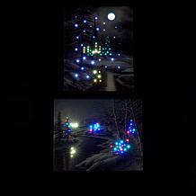 Winter Lane | Christmas Trees, Artificial Topiary & Holiday Décor | HSN