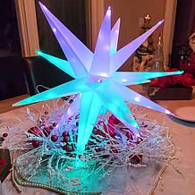 Winter Lane | Christmas Trees, Artificial Topiary & Holiday Décor | HSN