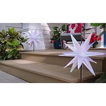 Winter Lane | Christmas Trees, Artificial Topiary & Holiday Décor | HSN