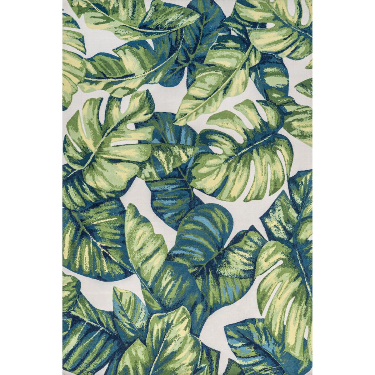 nuLOOM Lisa Floral Indoor/Outdoor 6' x 9' Area Rug - 22893514 | HSN