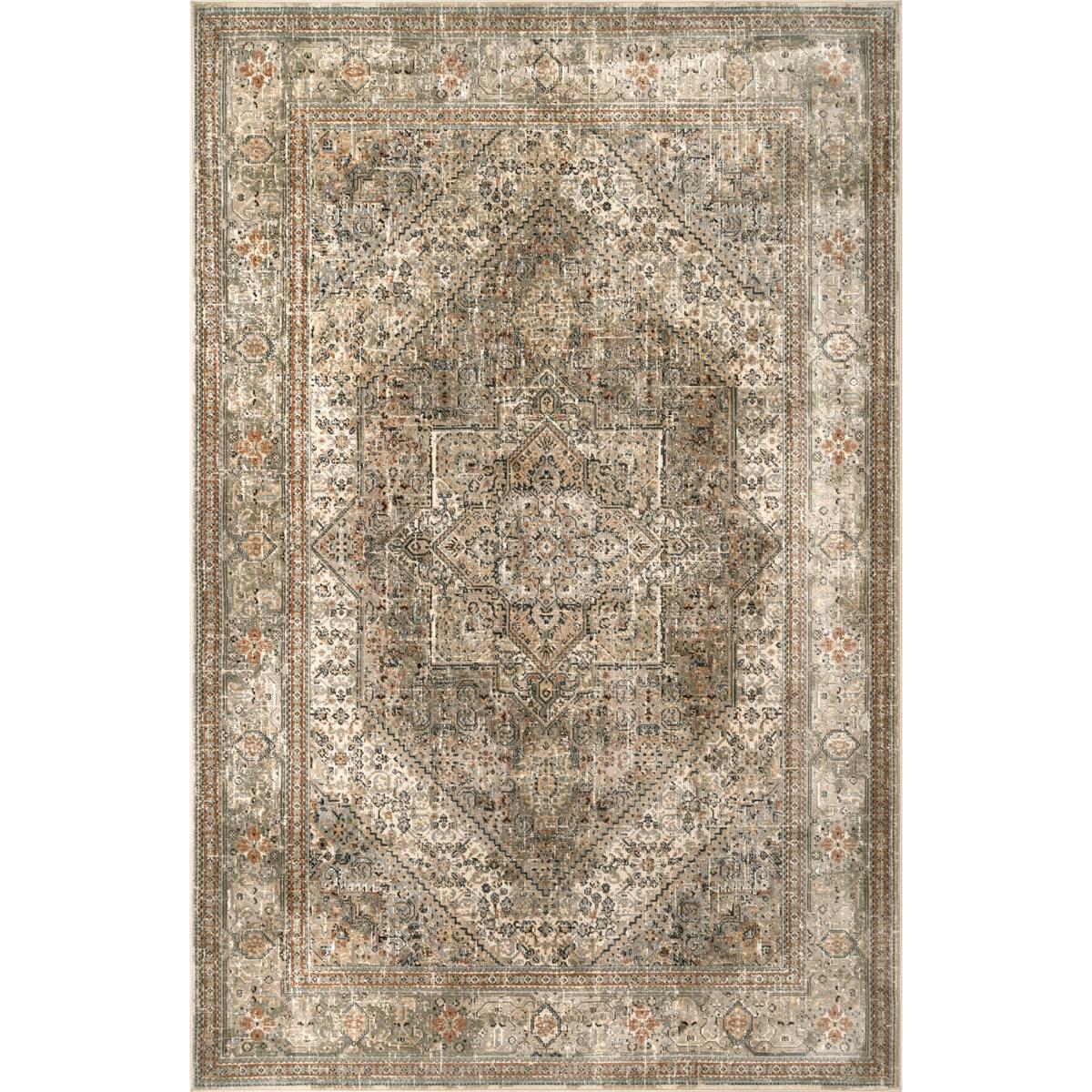 nuLOOM Carol 3' x 5' Traditional Medallion Area Rug - 22893617 | HSN
