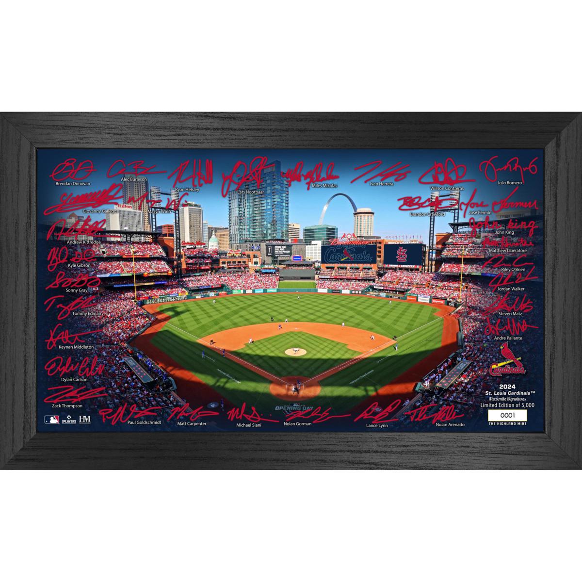 Officially Licensed MLB/MLBPA St. Louis Cardinals 2024 Signature Field ...