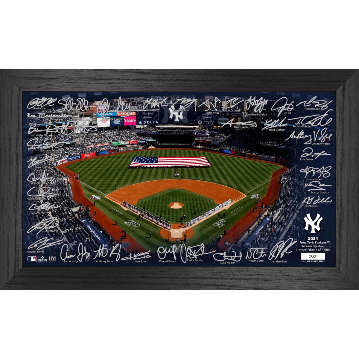 Officially Licensed MLB/MLBPA New York Yankees 2024 Signature Field ...