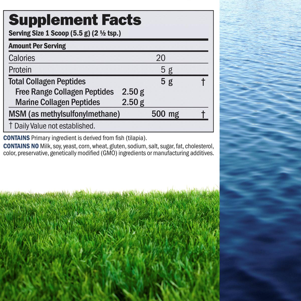 Andrew Lessman Marine and Free Range Collagen Peptides with MSM - 60 ...