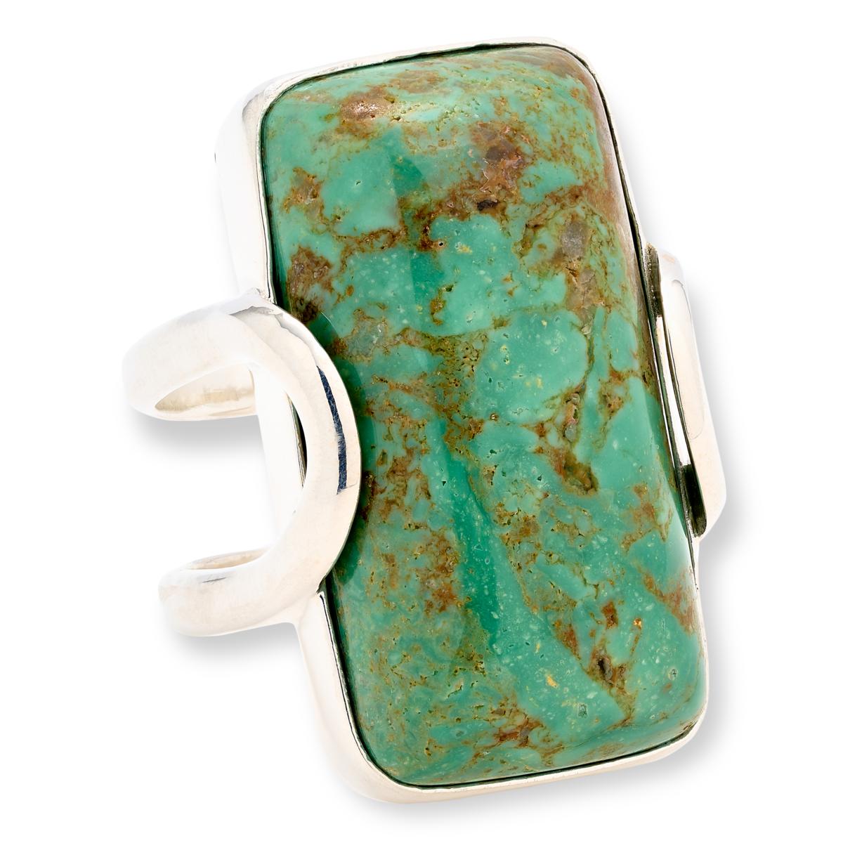 Jay King Sterling Silver Green Alecia Turquoise Ring | HSN