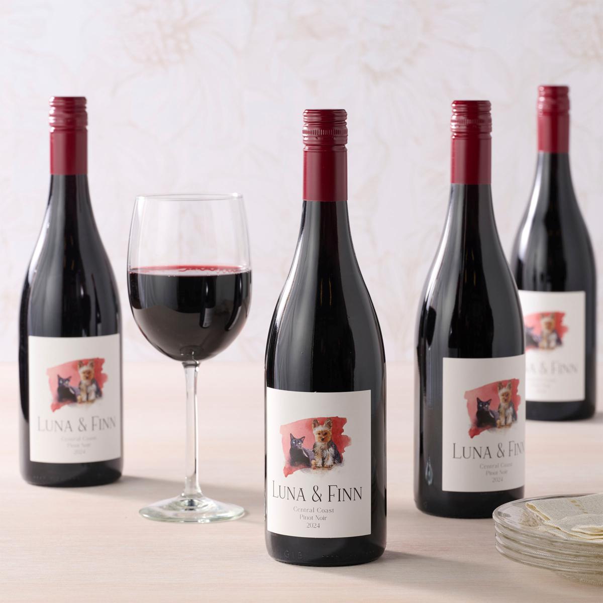 Luna & Finn by Martina McBride 6-Pack 750ml Pinot Noir Wine | HSN