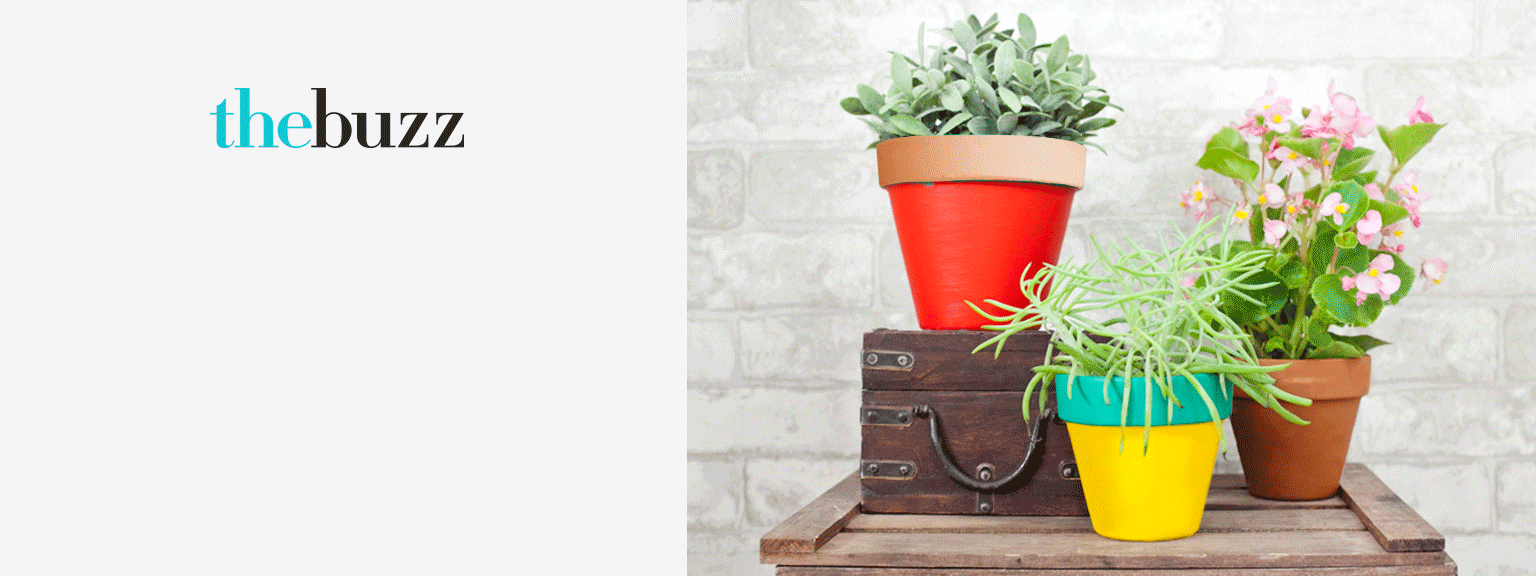 Crafts & Sewing | HSN